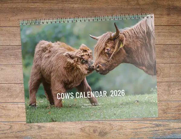 Cow Wall calendar (ENG) 2026 - Line & Pixels Creations